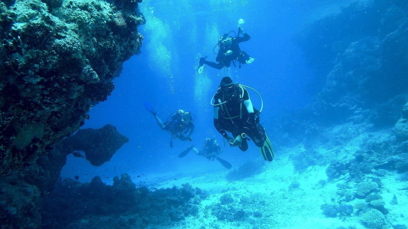 Africa’s best diving destinations for 2023 - Encircle Africa