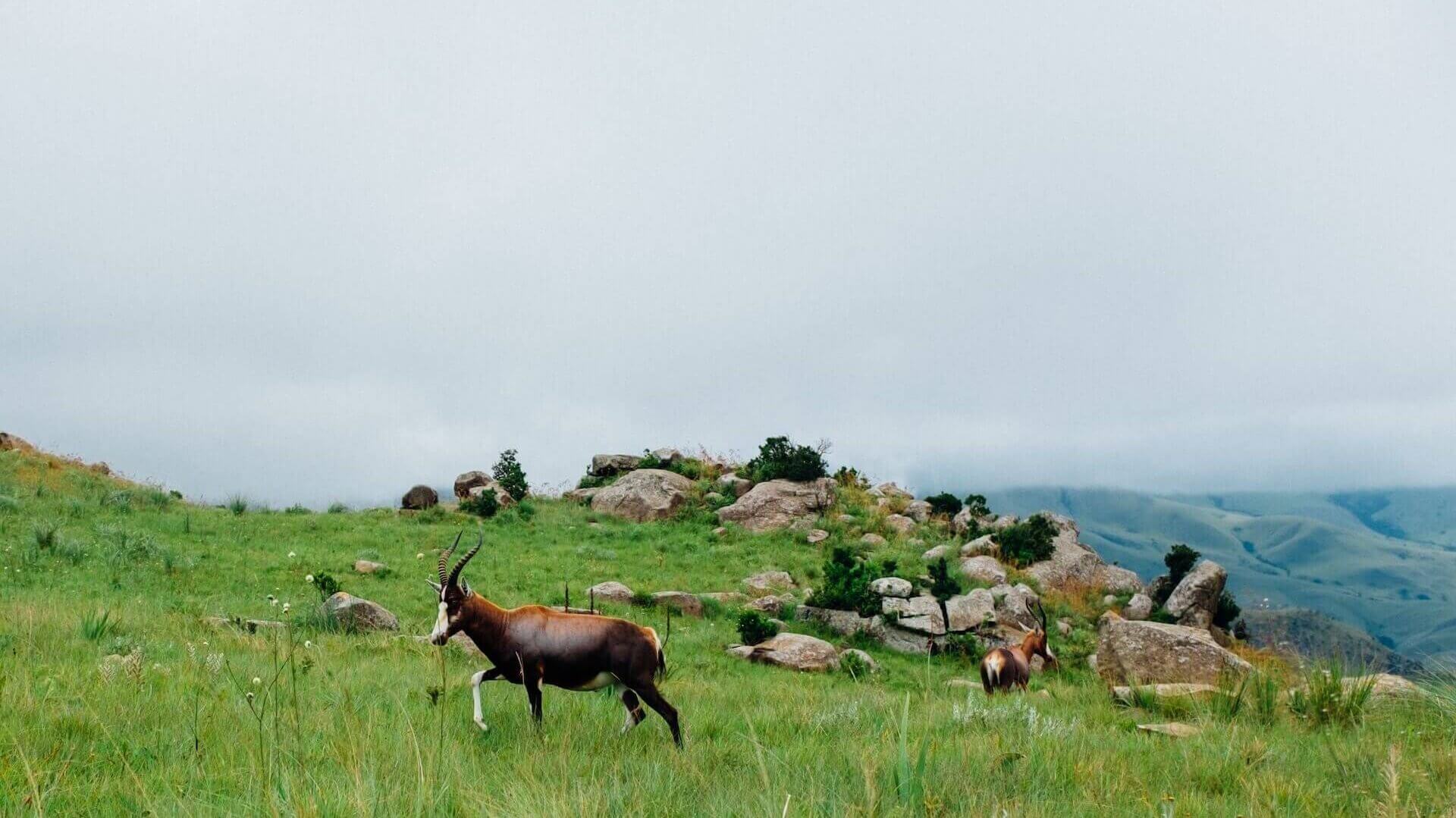 9 of the best things to do in Eswatini (Swaziland) - Encircle Africa